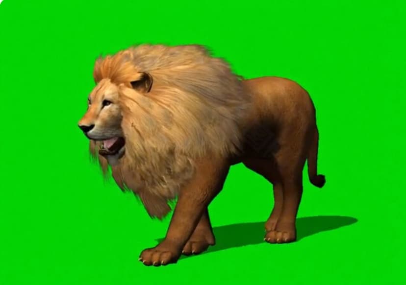 Free AI Green Screen Remover for Images | Online Cutout Tool